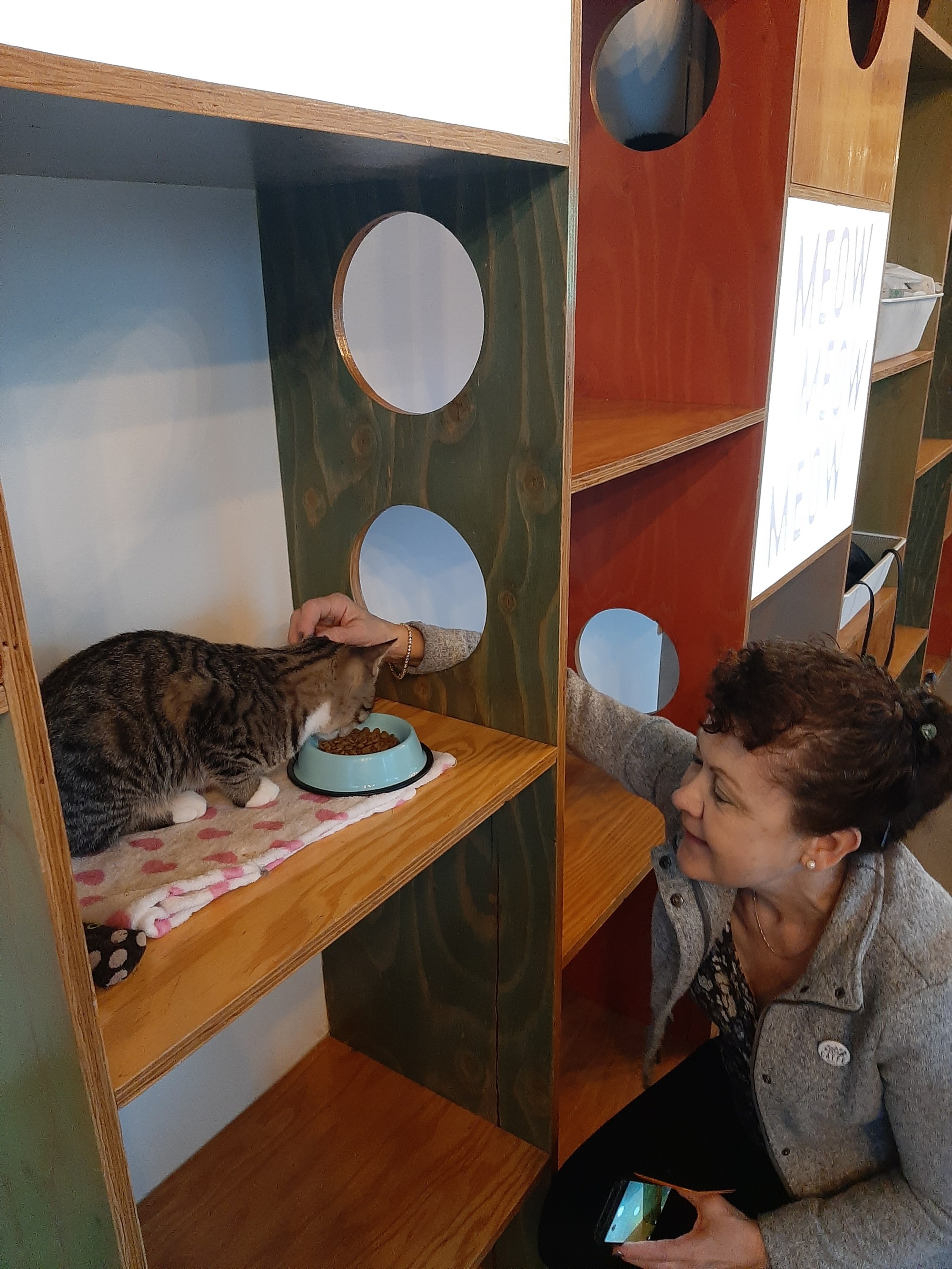 3 BEST Animal Cafes to Visit in Vancouver, BC – Thoughts to Writings