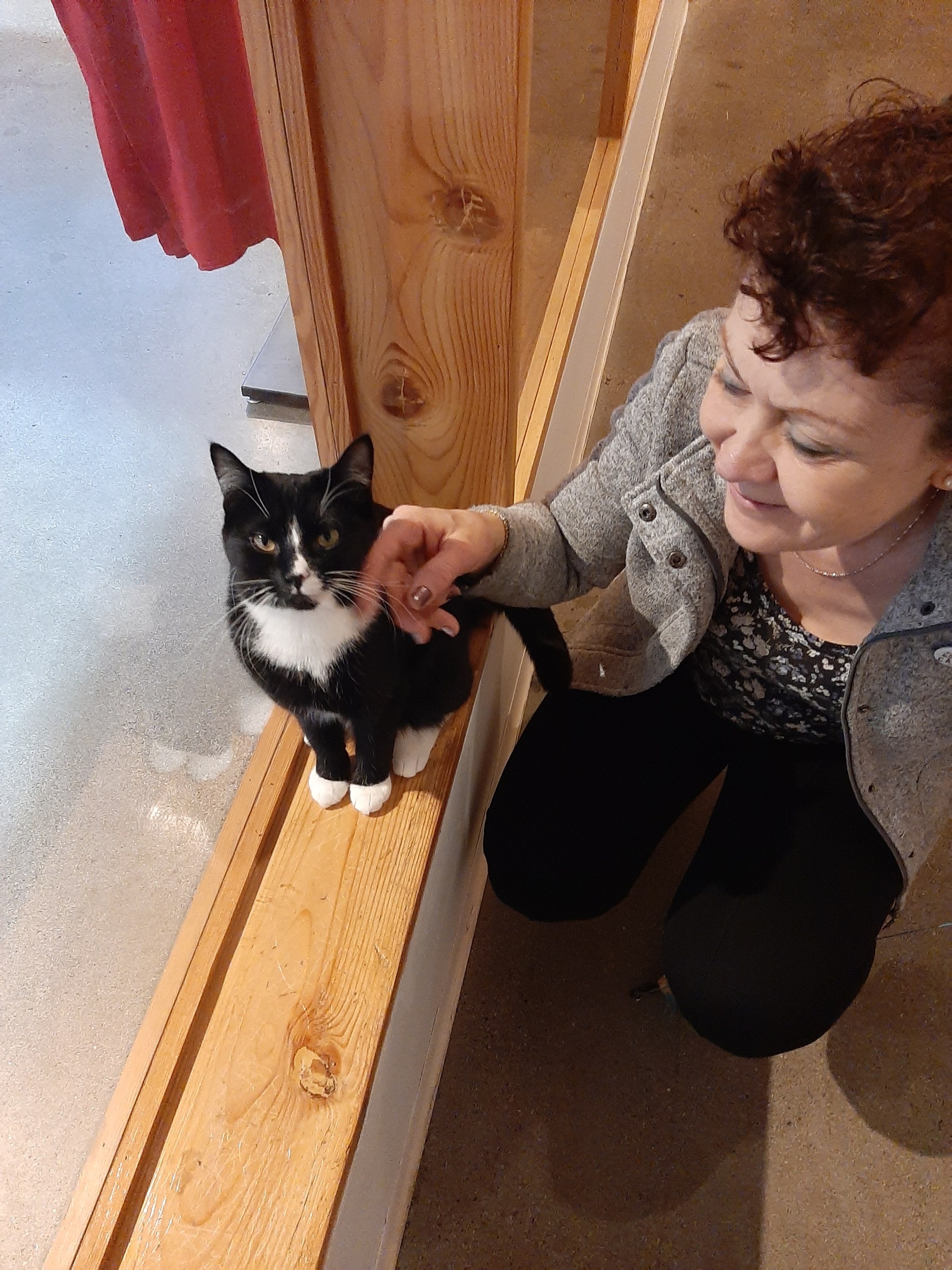 3 BEST Animal Cafes to Visit in Vancouver, BC – Thoughts to Writings