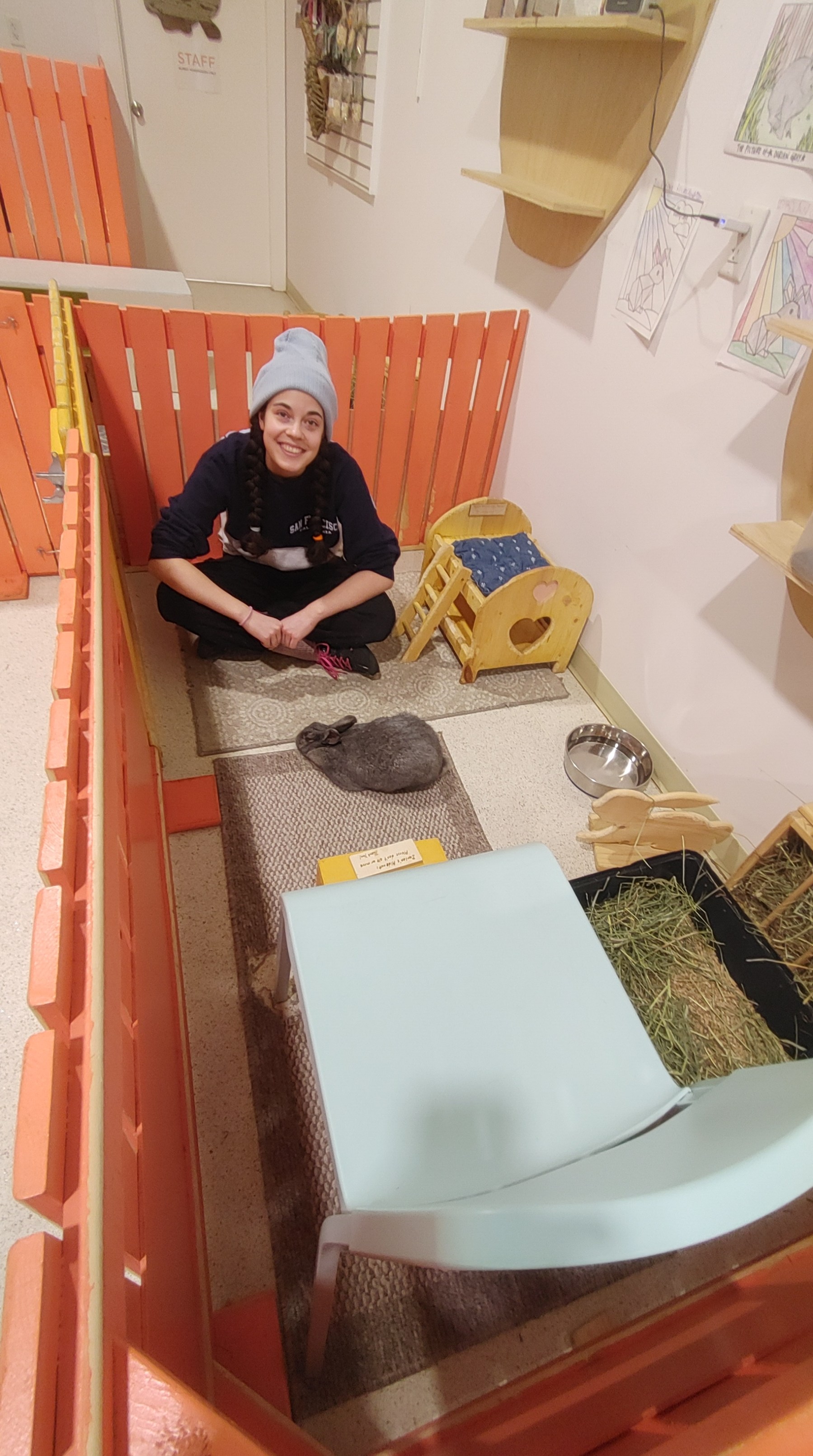 3 BEST Animal Cafes to Visit in Vancouver, BC – Thoughts to Writings